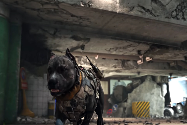 Call of Duty Black Ops 4 : Les chiens bug et op dans la Beta - Breakflip