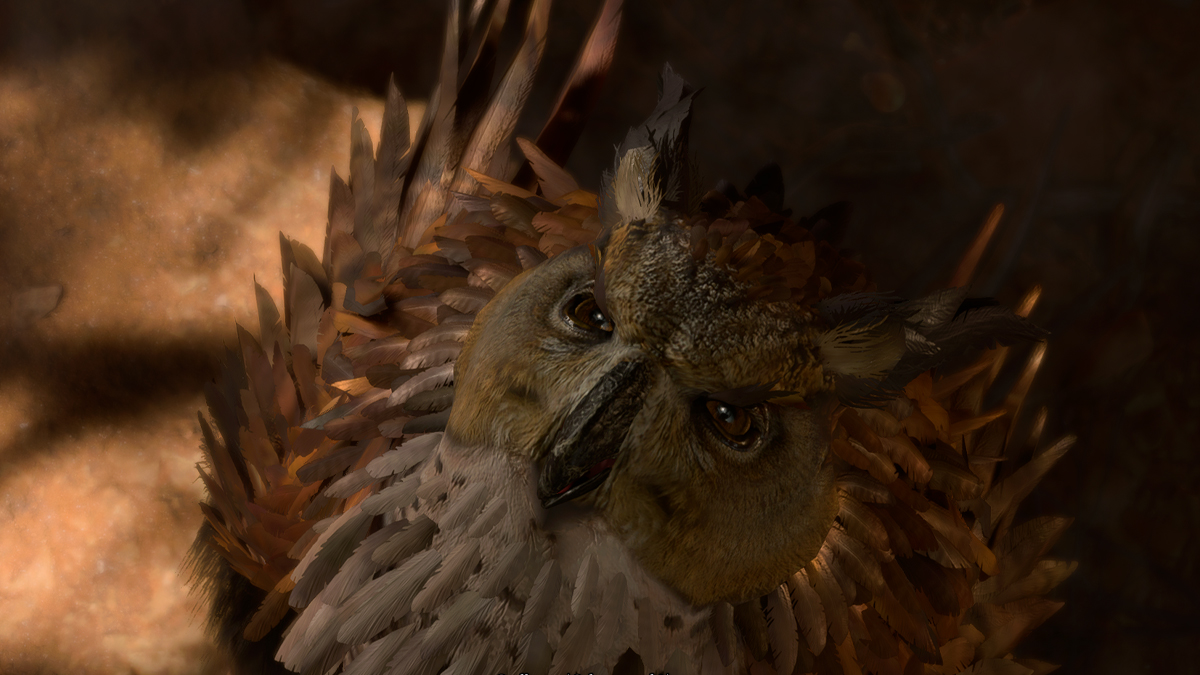 Ours hibou bg3 : Comment obtenir le compagnon dans Baldur's Gate III ...