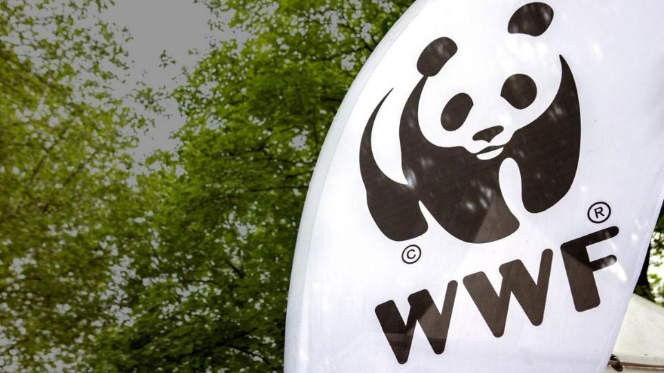 WWF France ZEvent 2022, présentation de l'association - Breakflip