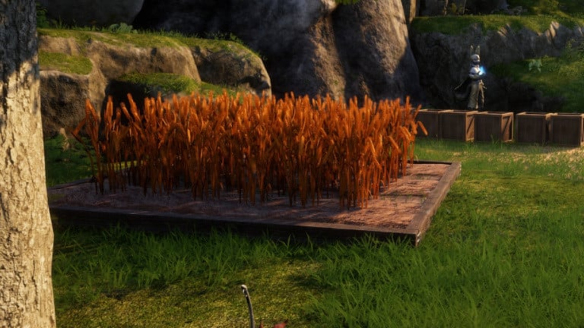 Blé (Corn) Palworld : où en trouver, le farmer et à quoi ça sert ...