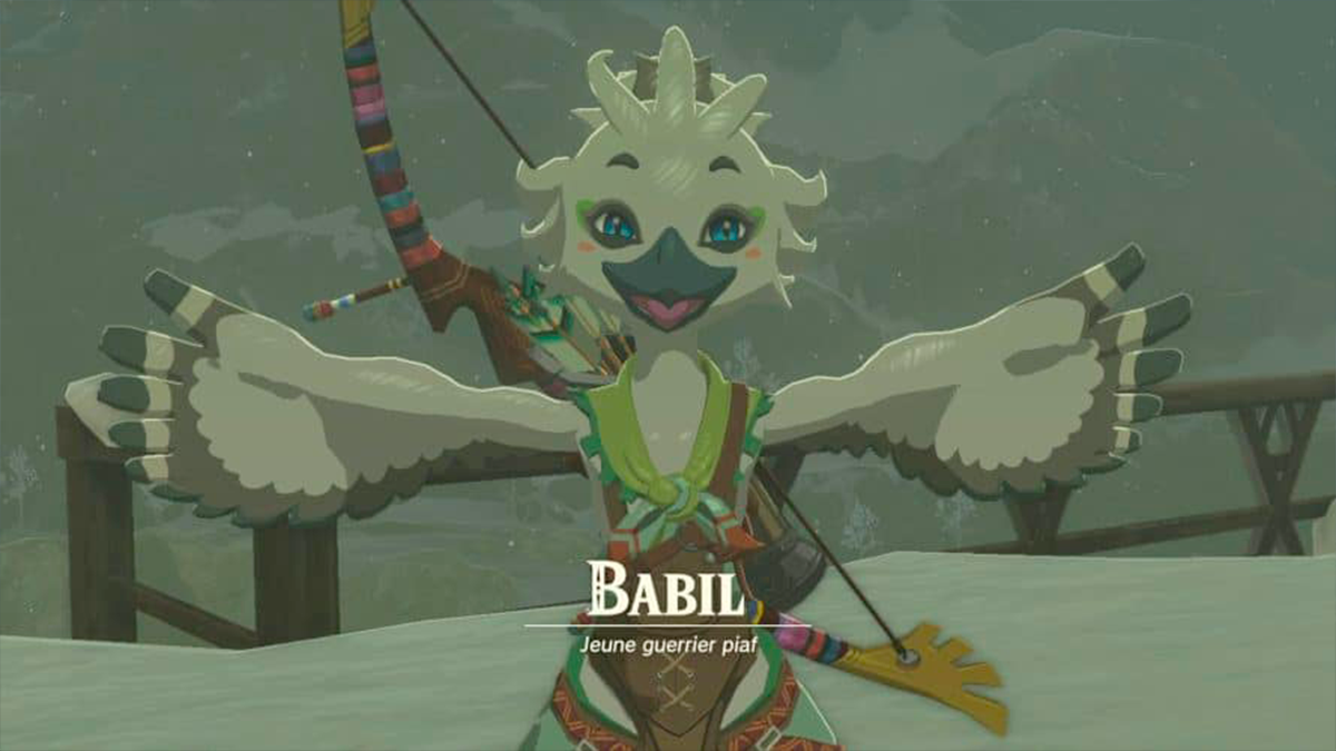 Zelda Tears of the Kingdom Babil du village Piaf : Guide pour réaliser ...