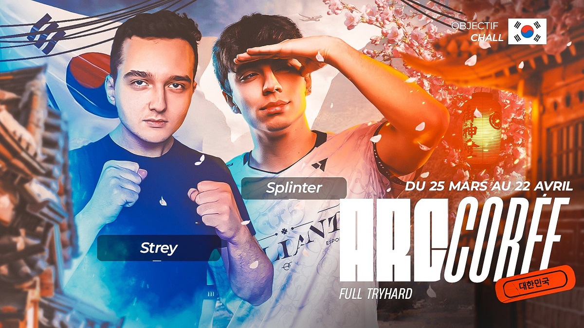 3346 LP en 27 jours : la folle ascension de Splinter sur les serveurs ...