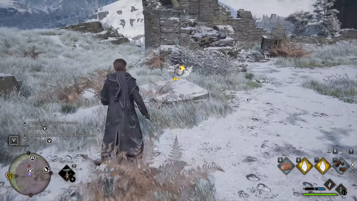 Dirico Hogwarts Legacy, comment en capturer un ? - Breakflip