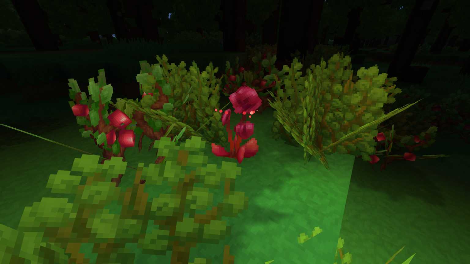 Blood rose Hytale : comment fabriquer des potions de soin ? - Breakflip