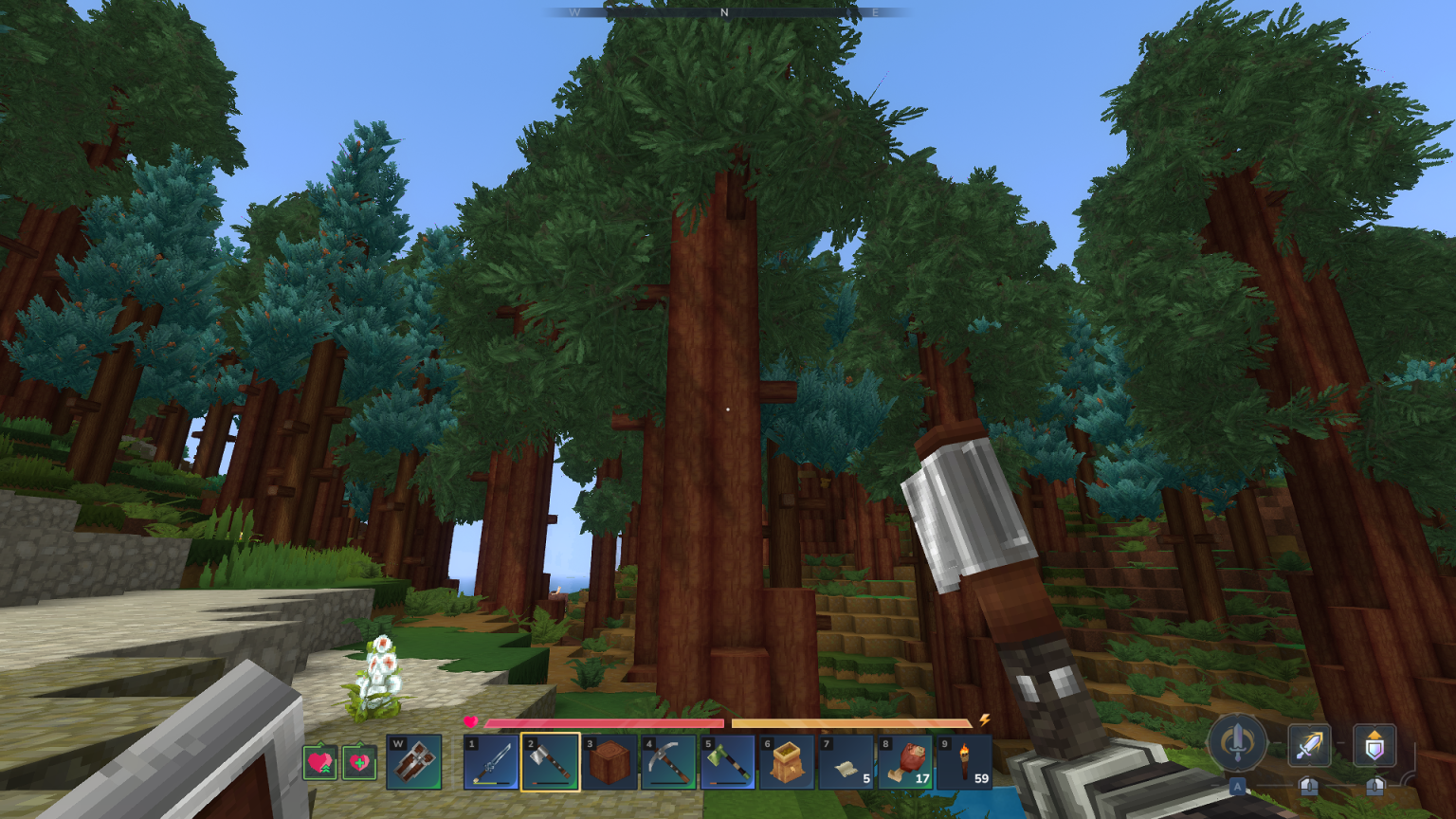 Bois séquoia (redwood) Hytale : où trouver cette ressource ? - Breakflip